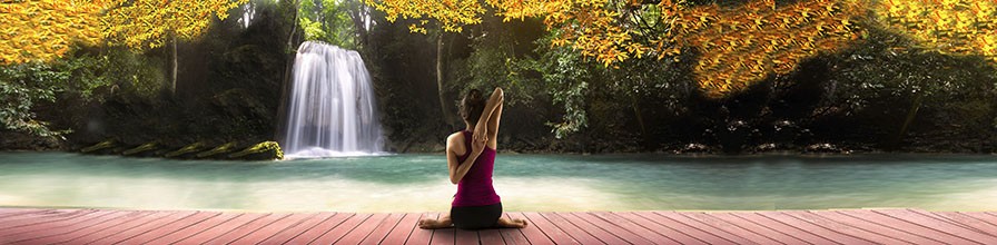 MSIG MediSure Plus Medical Cover - MSIG Insurance Hong Kong